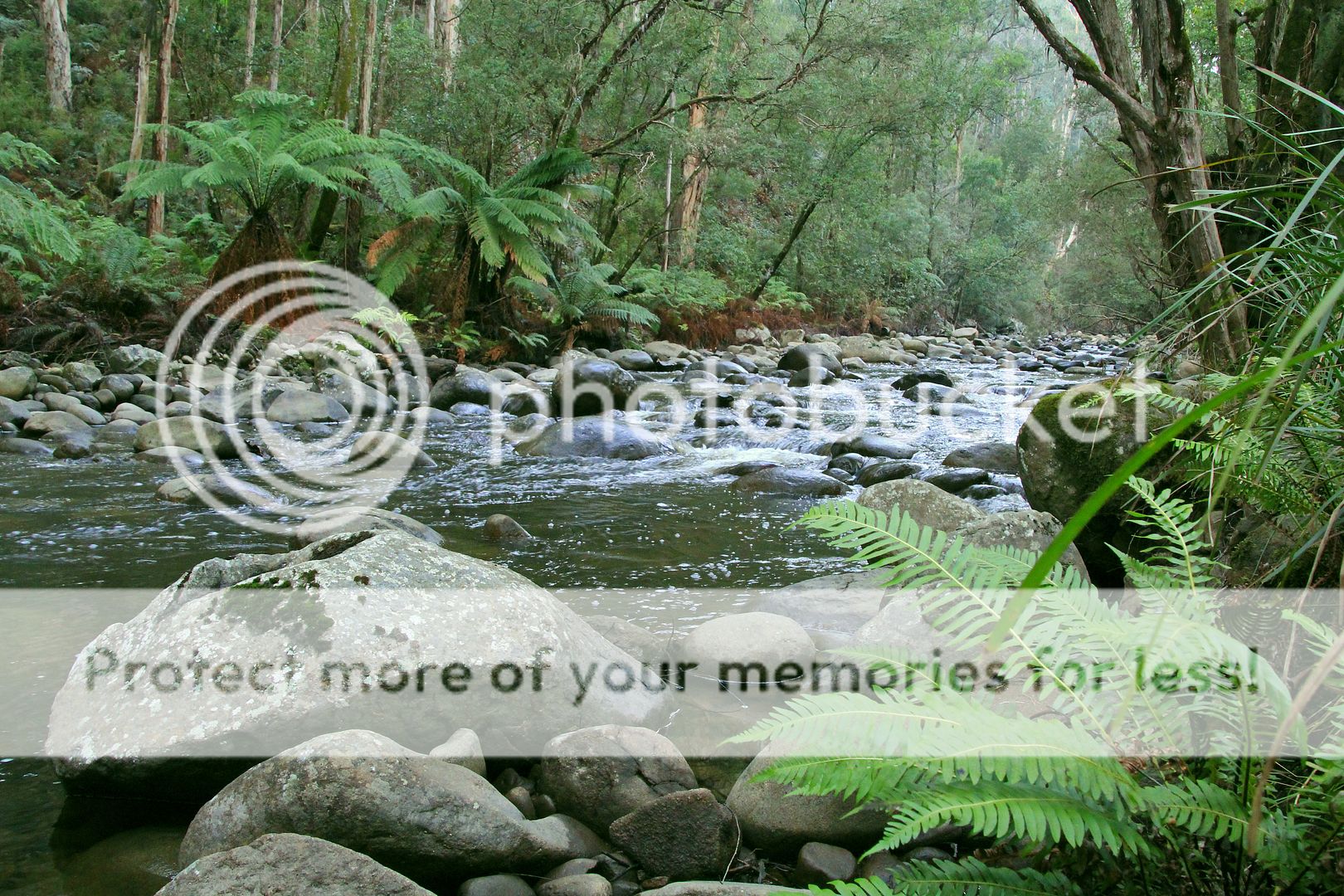 Rubicon Valley Historic Area | 4x4Earth