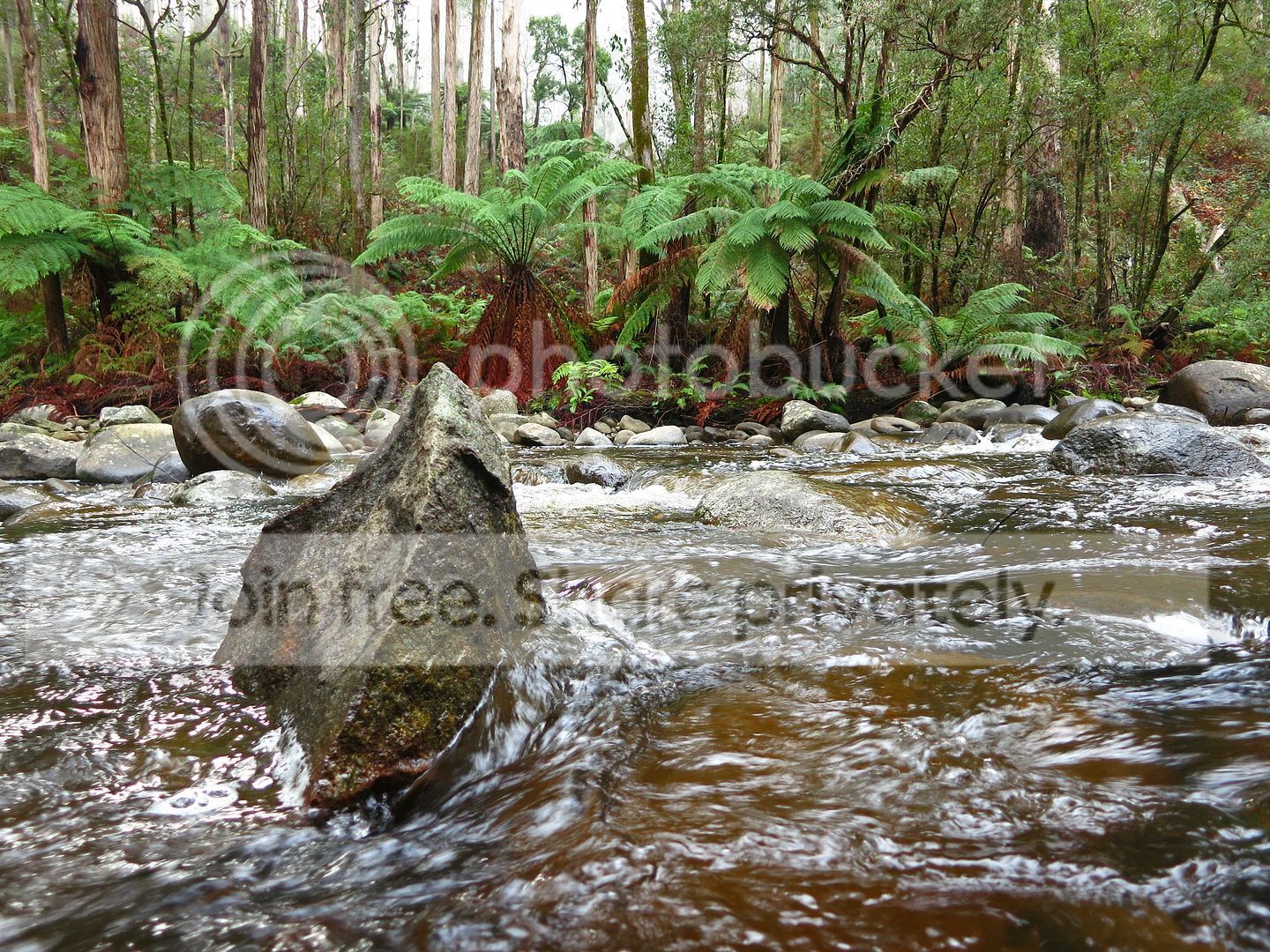 Rubicon River Wisconsin at Cooper Betts blog