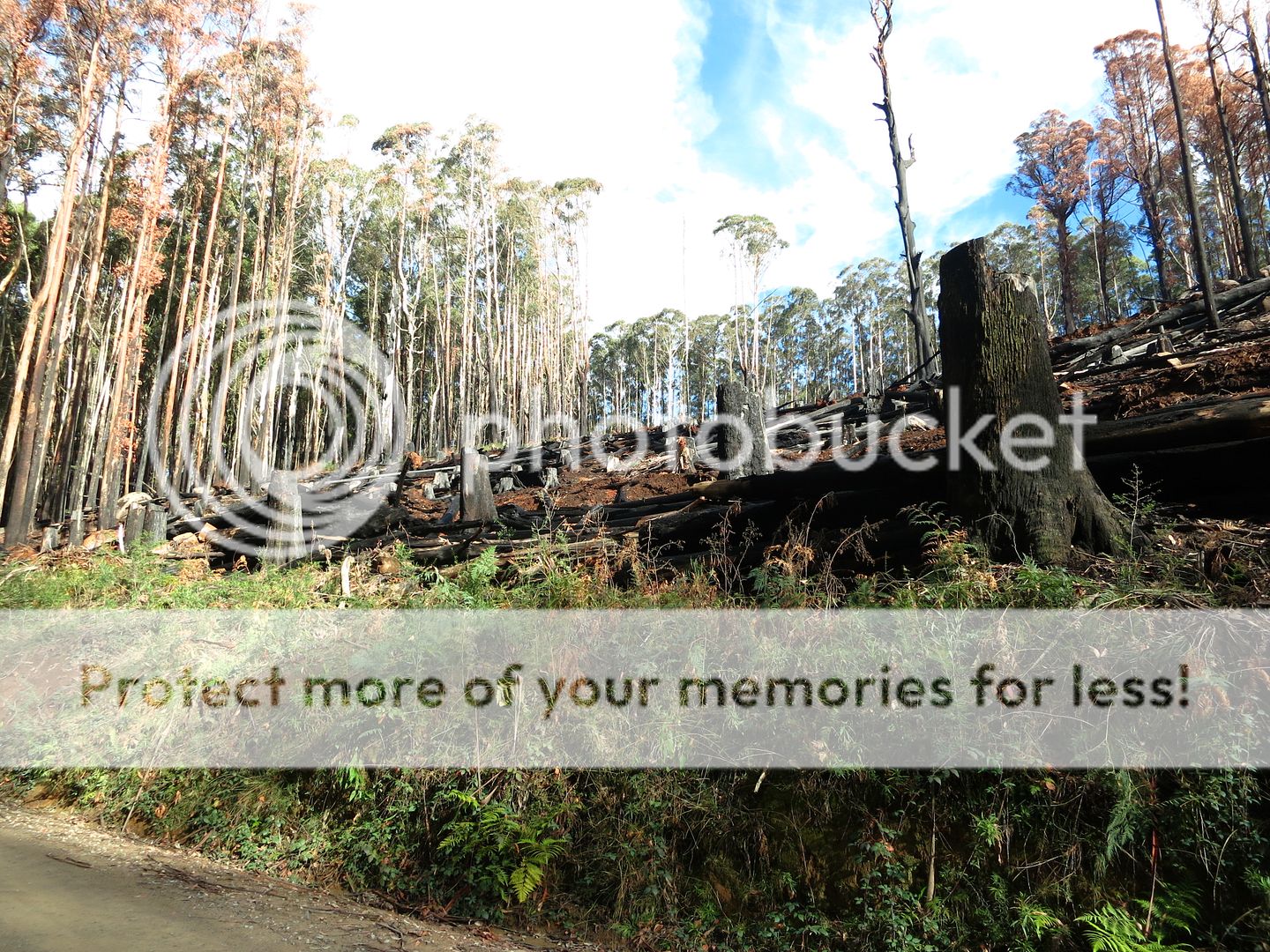 Rubicon Valley Historic Area | 4x4Earth