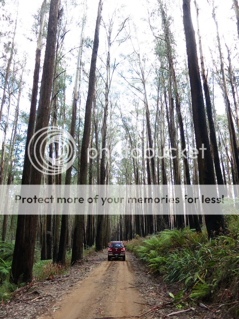 Rubicon Valley Historic Area | 4x4Earth