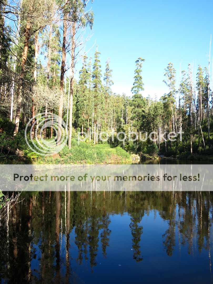 Rubicon Valley Historic Area | 4x4Earth