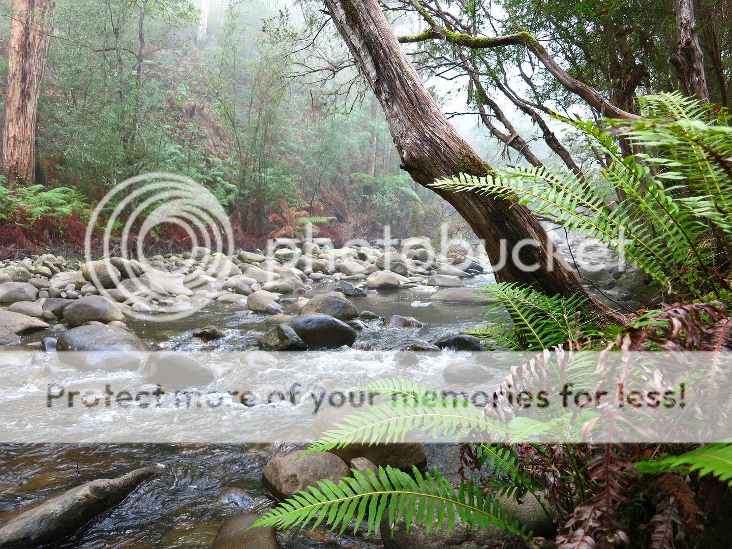 Rubicon Valley Historic Area | 4x4Earth