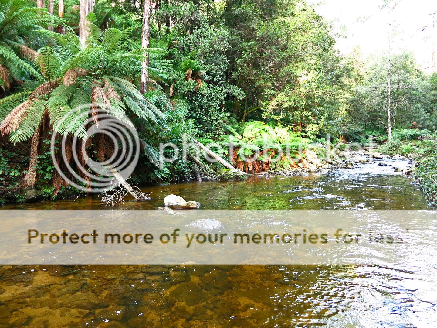 Rubicon Valley Historic Area | 4x4Earth