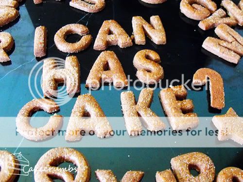 Chocolate and Cinnamon Alphabet Cookies: cakecrumbs — LiveJournal